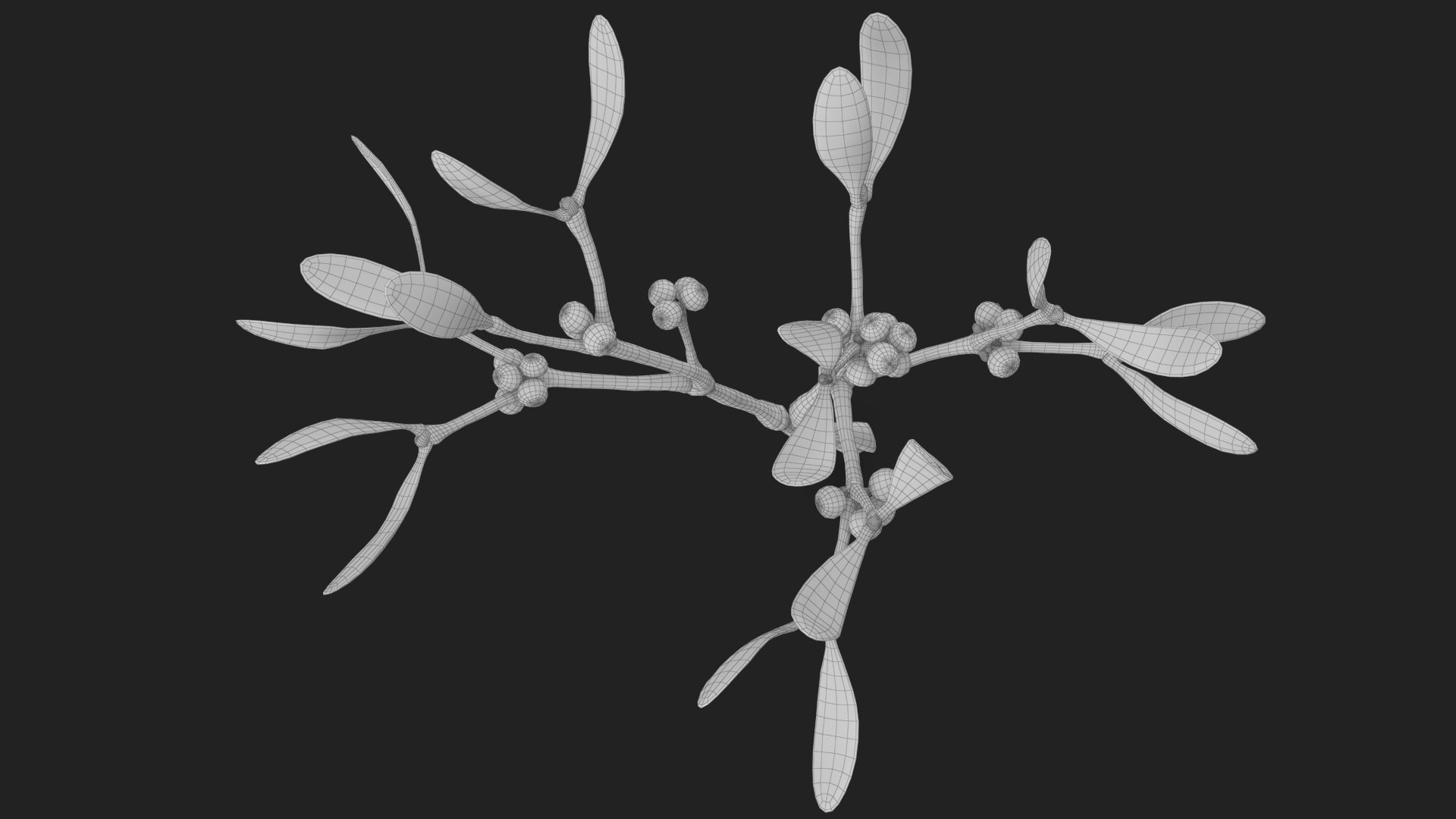 Mistletoe 3D model - TurboSquid 1803904