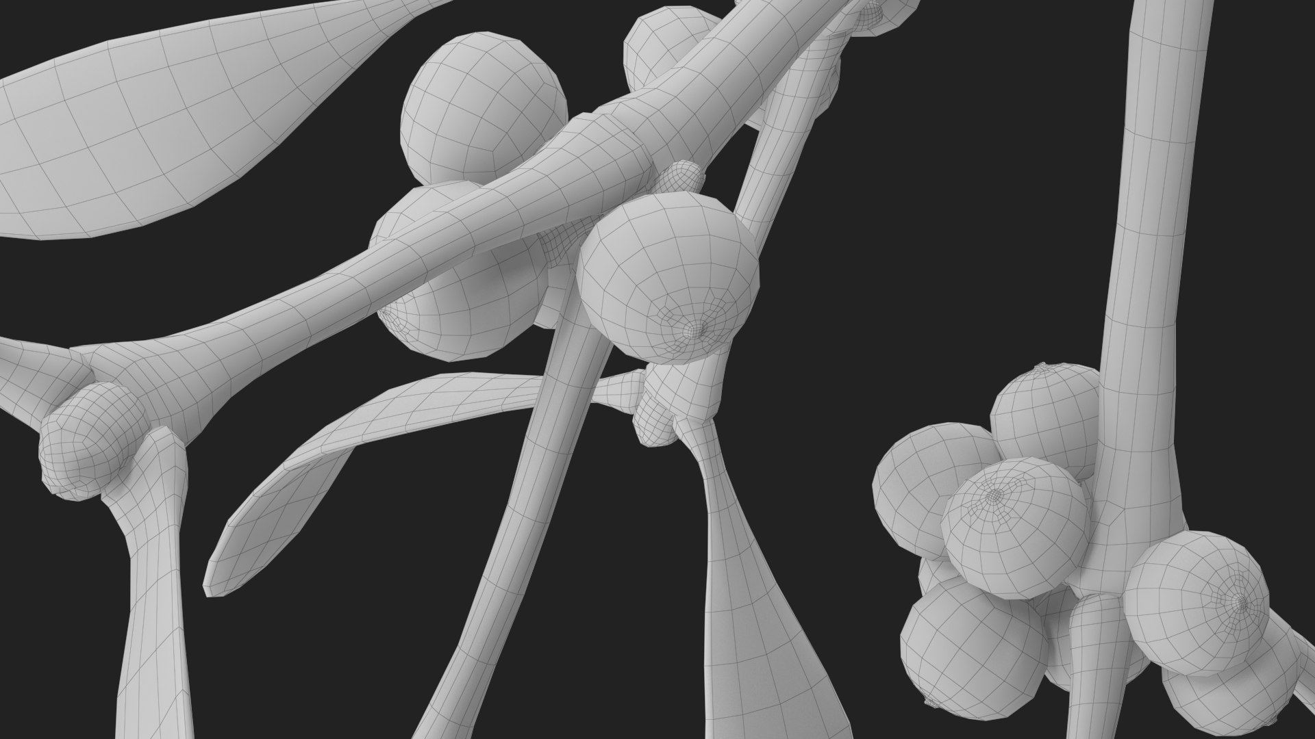 Mistletoe 3D model - TurboSquid 1803904