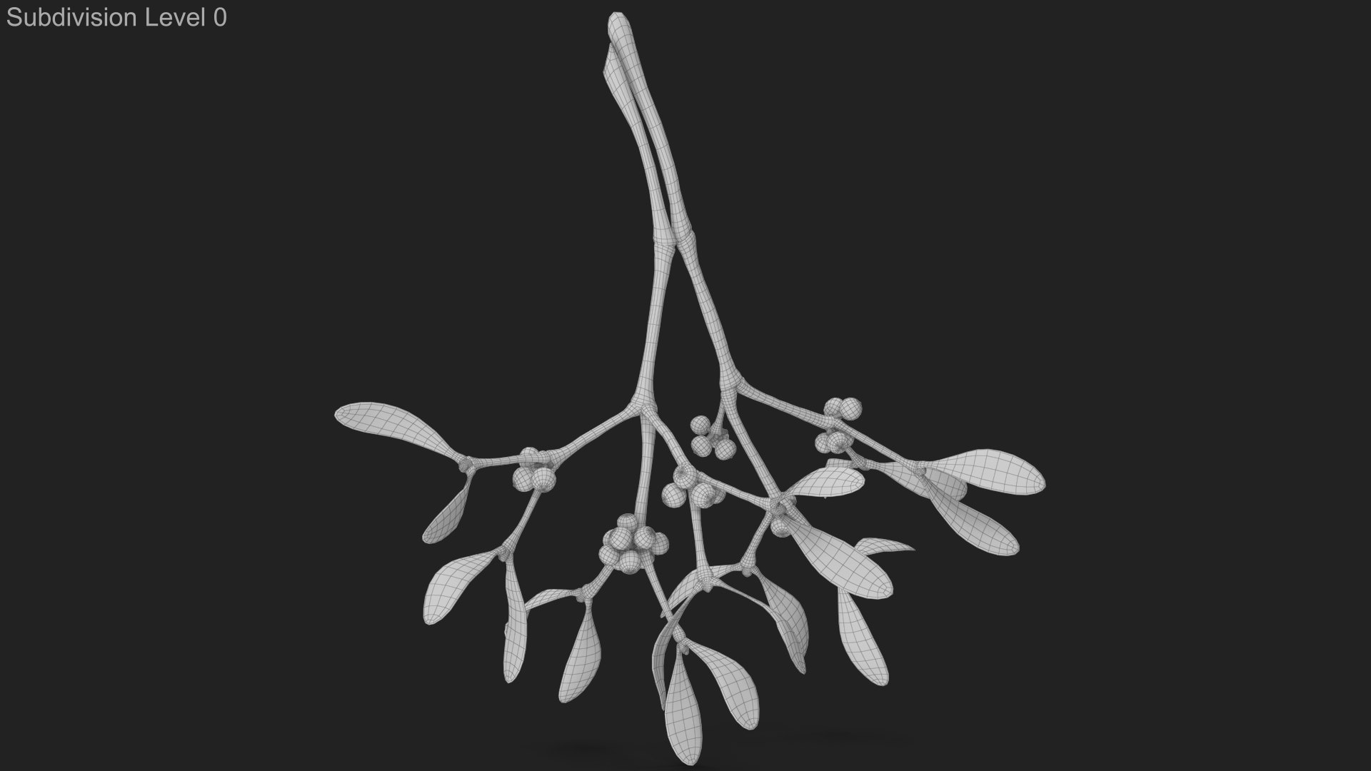 Mistletoe 3D model - TurboSquid 1803904