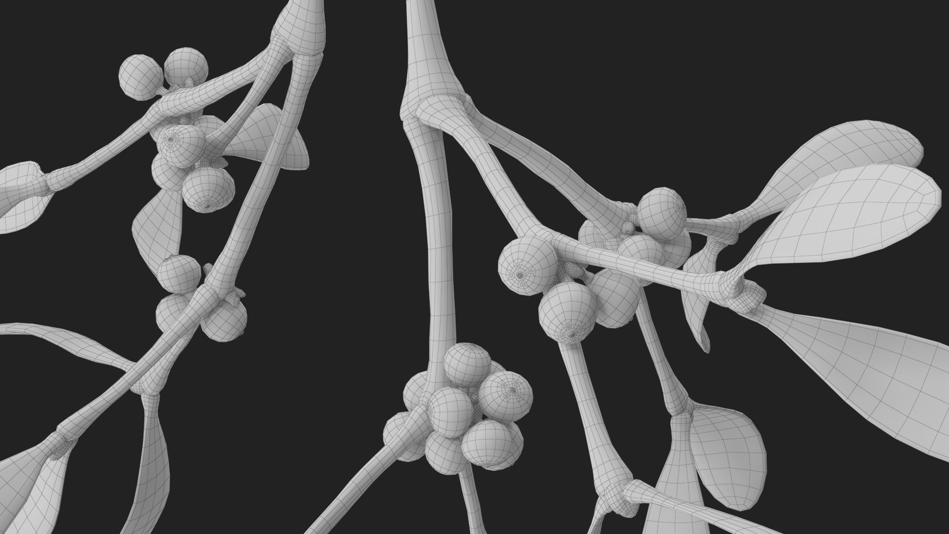 Mistletoe 3D model - TurboSquid 1803904