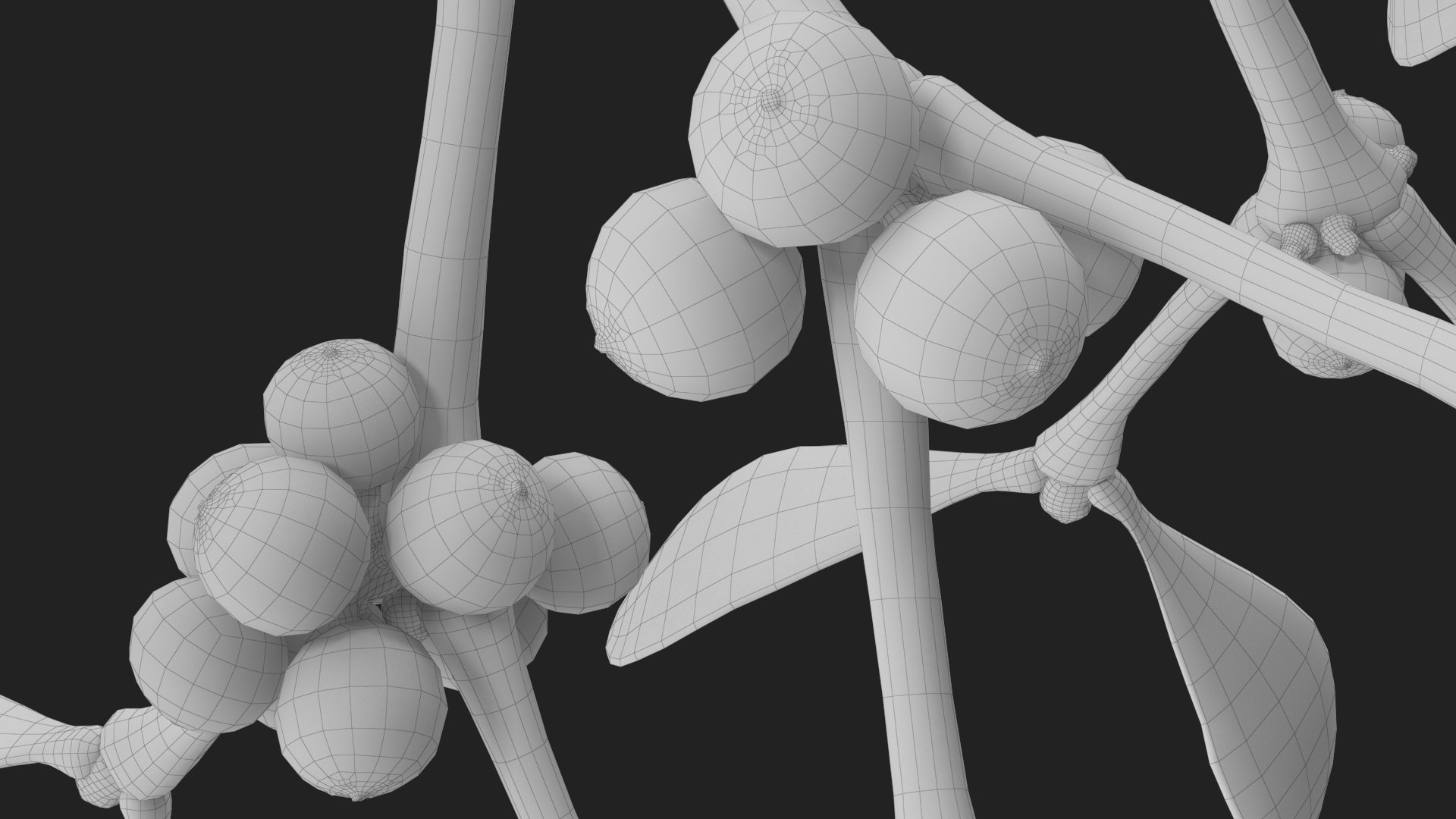 Mistletoe 3D model - TurboSquid 1803904