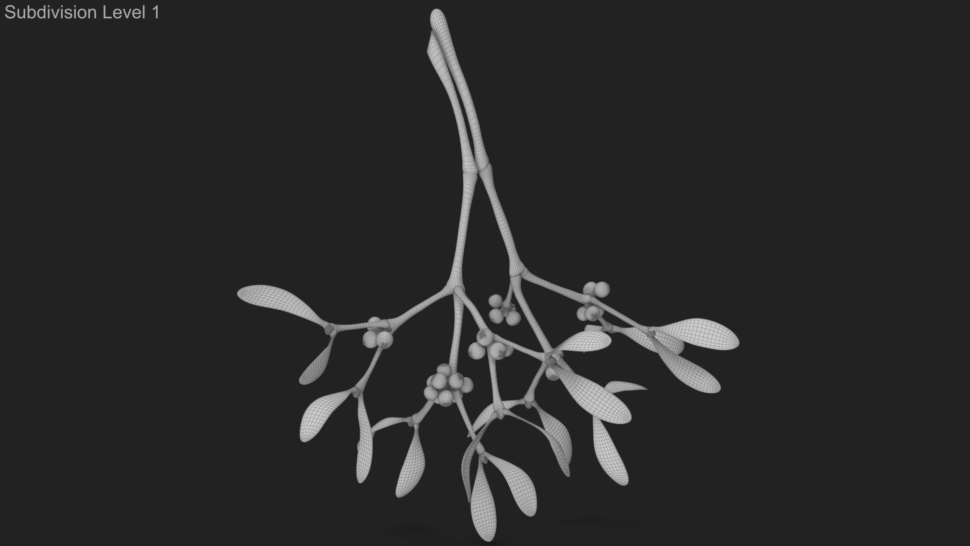 Mistletoe 3D model - TurboSquid 1803904