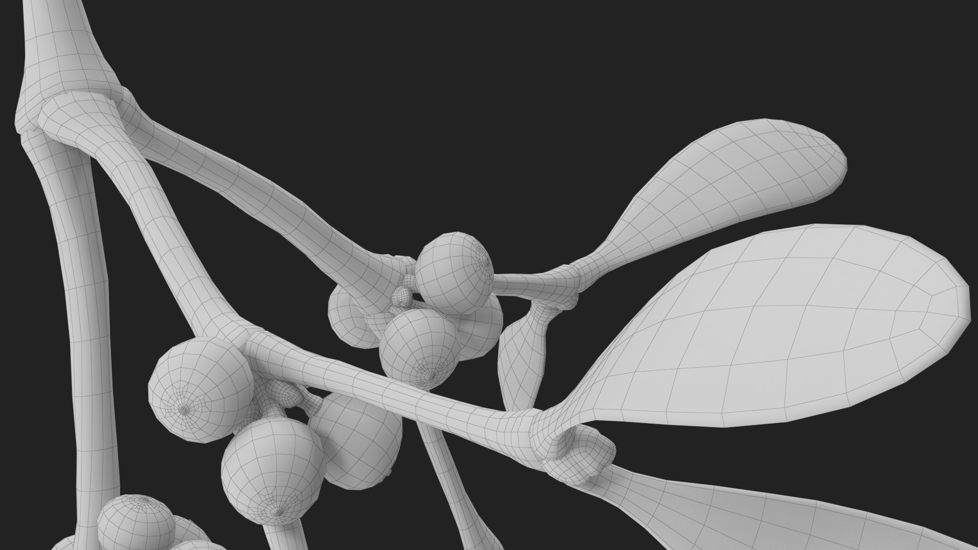 Mistletoe 3D model - TurboSquid 1803904