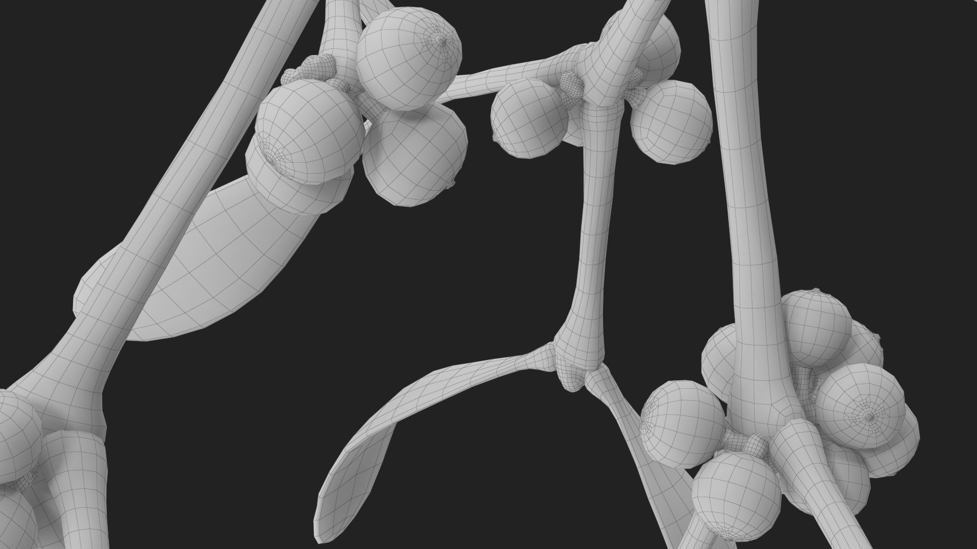 Mistletoe 3D model - TurboSquid 1803904