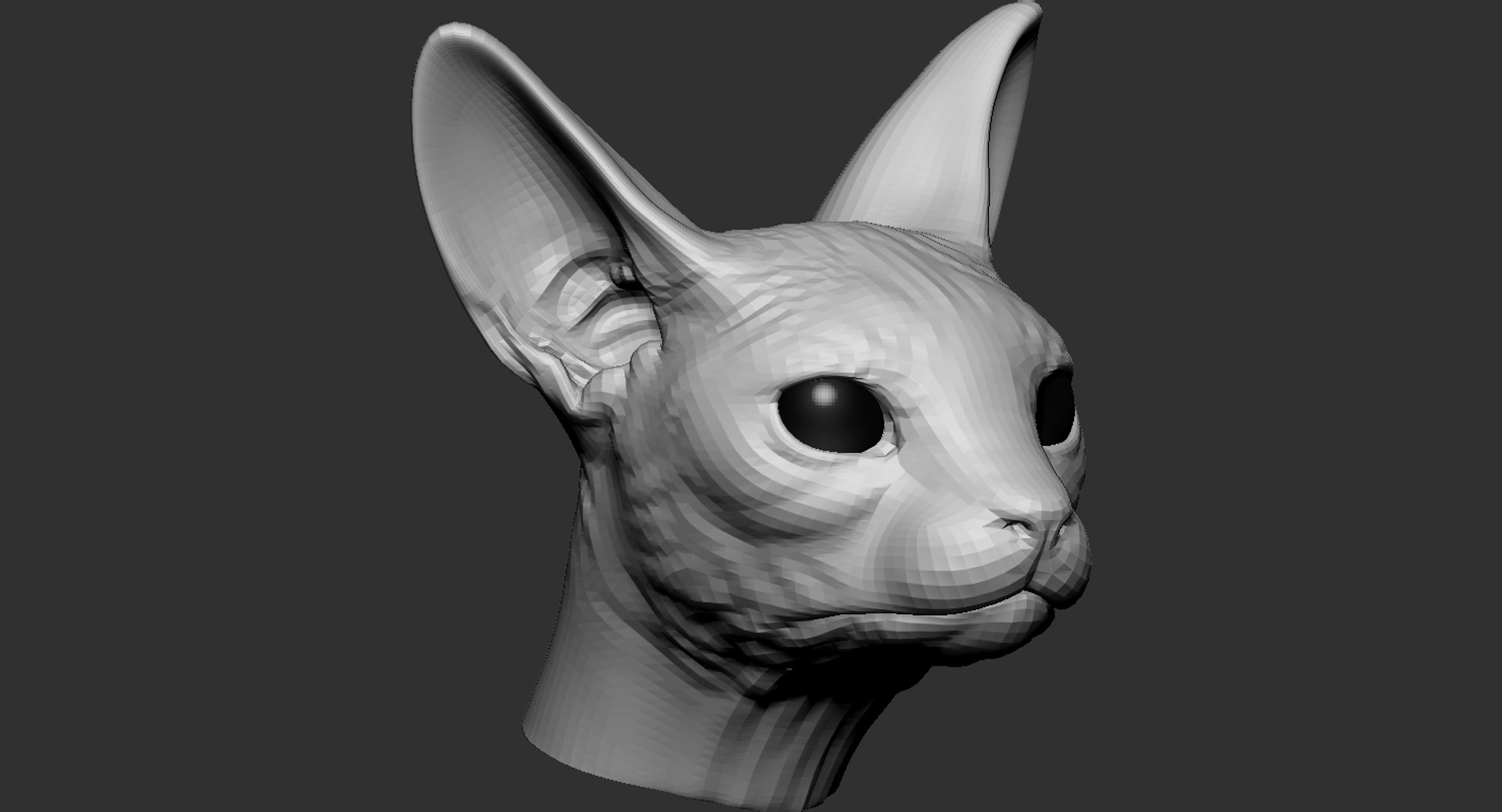 Sphynx Cat Head Base Mesh 3D - TurboSquid 1427330