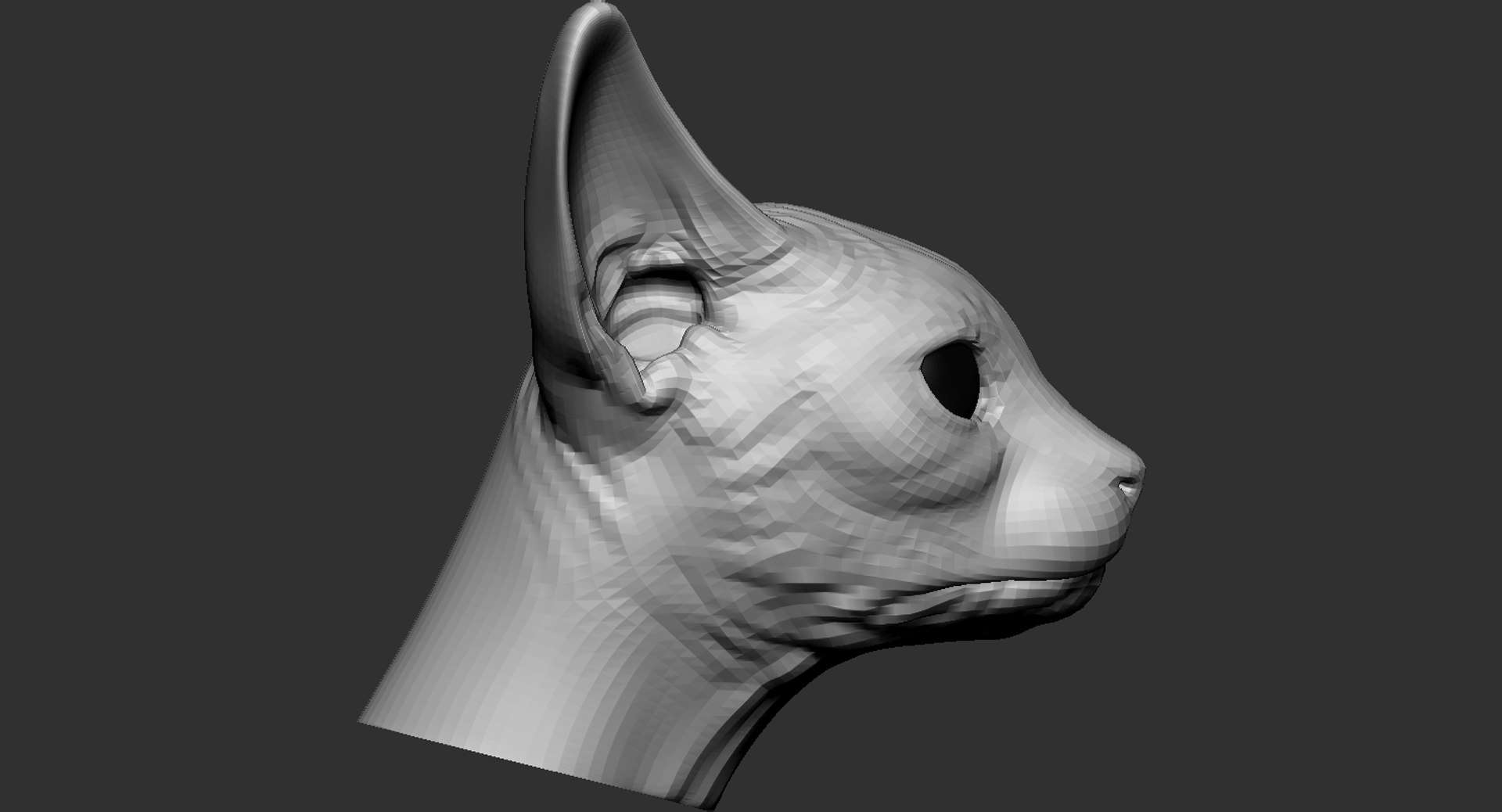 Sphynx Cat Head Base Mesh 3D - TurboSquid 1427330