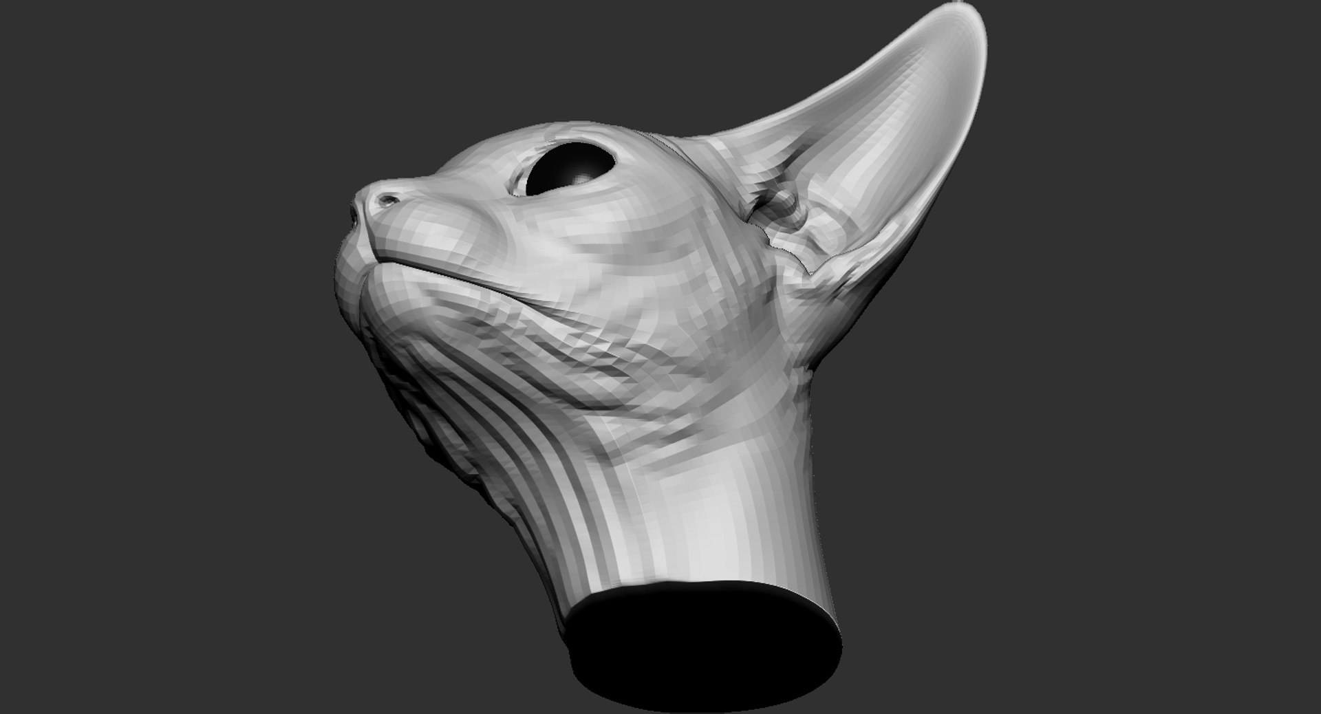 Sphynx Cat Head Base Mesh 3D - TurboSquid 1427330