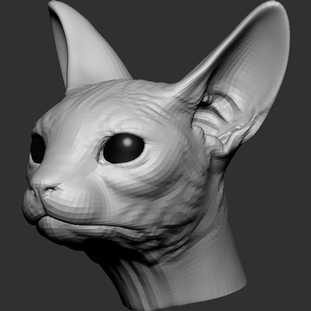 Sphynx Cat Head Base Mesh 3D - TurboSquid 1427330