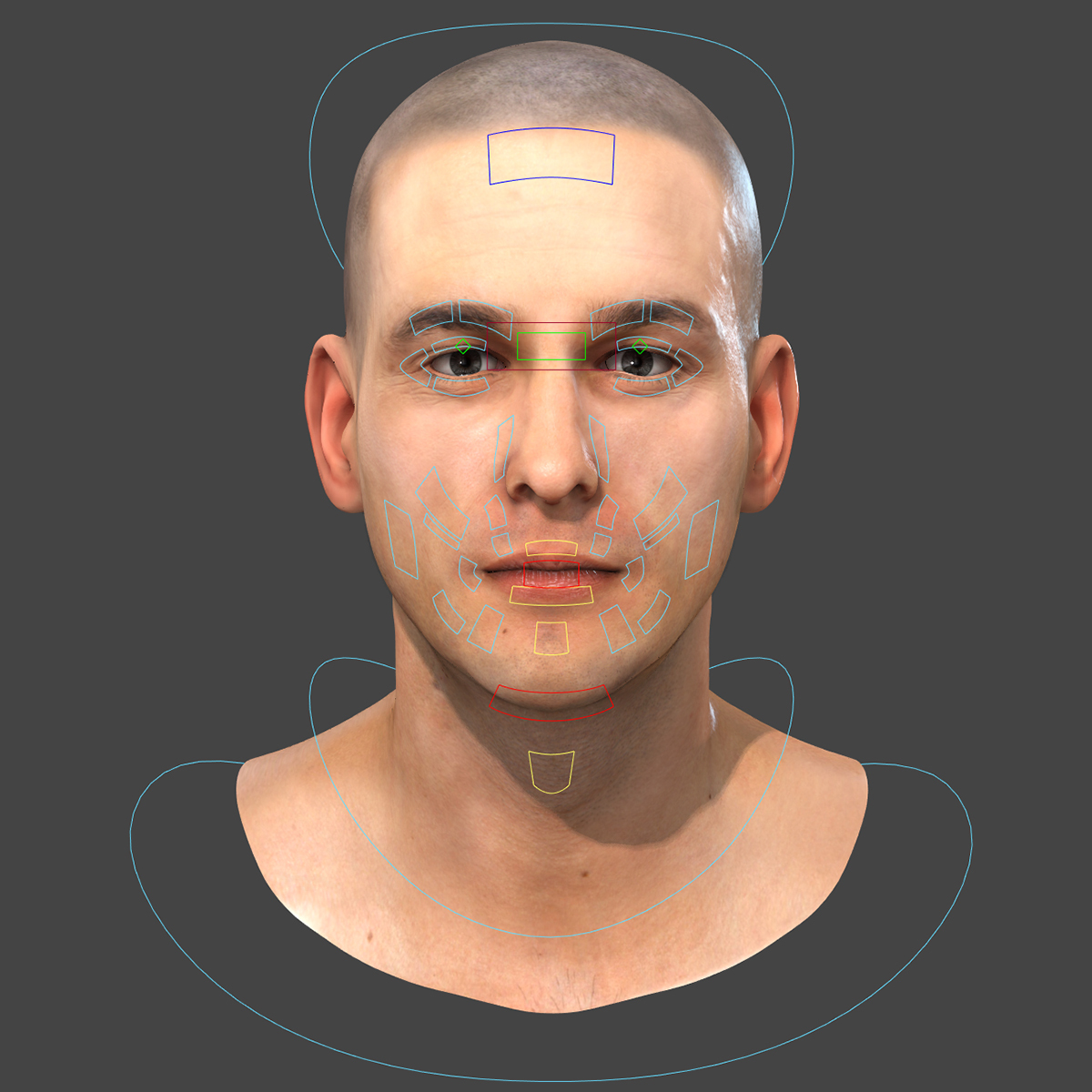 3d model of rig based facs