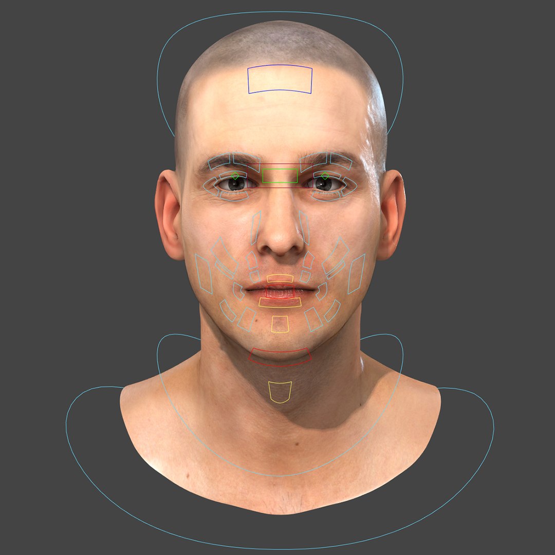 3d Model Of Rig Based Facs