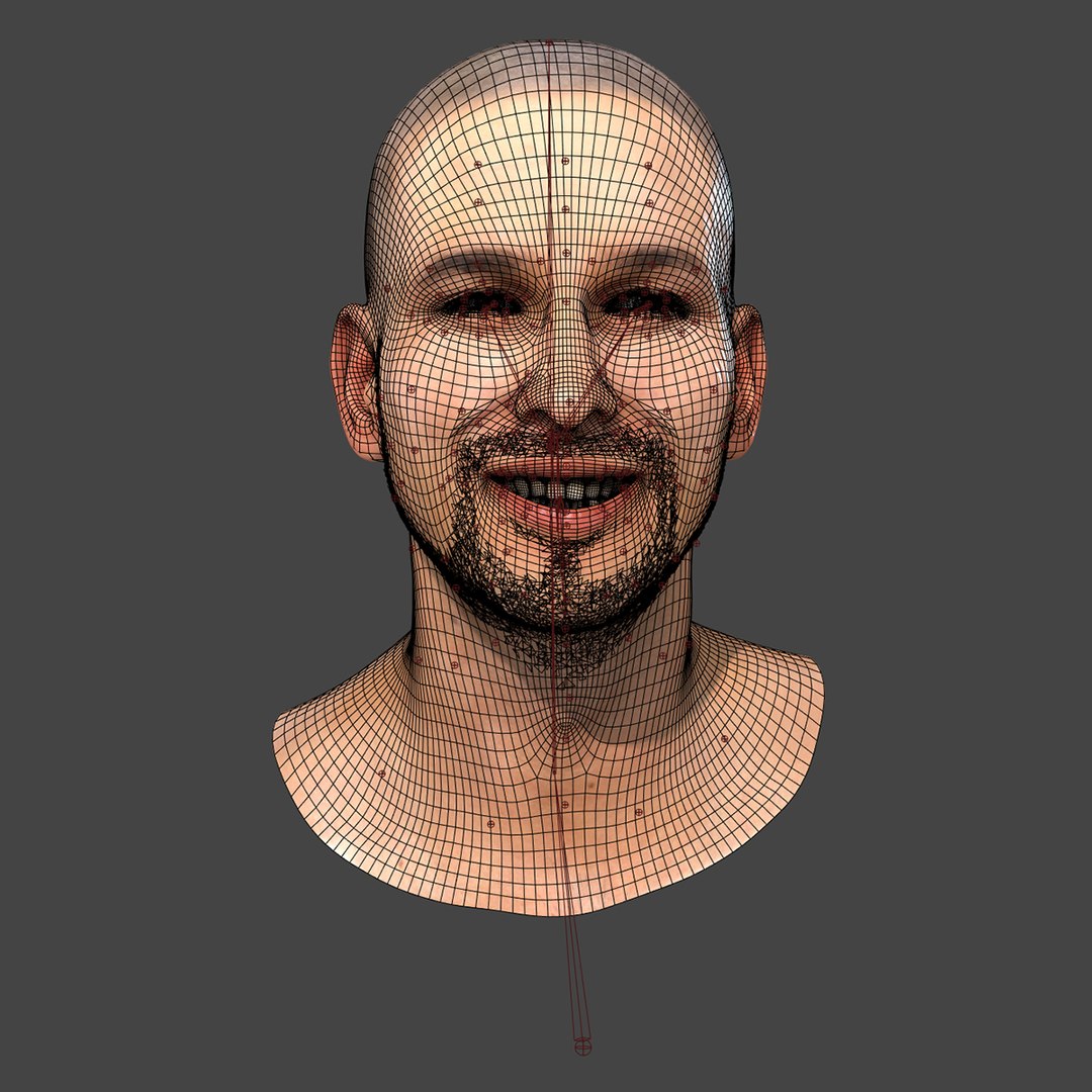 3d Model Of Rig Based Facs