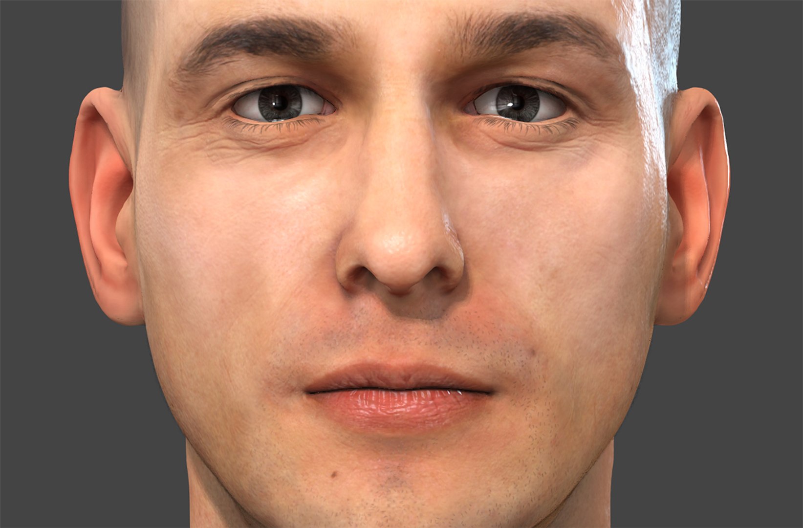 3d Model Of Rig Based Facs