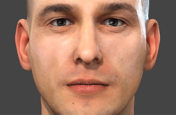 3d model of rig based facs