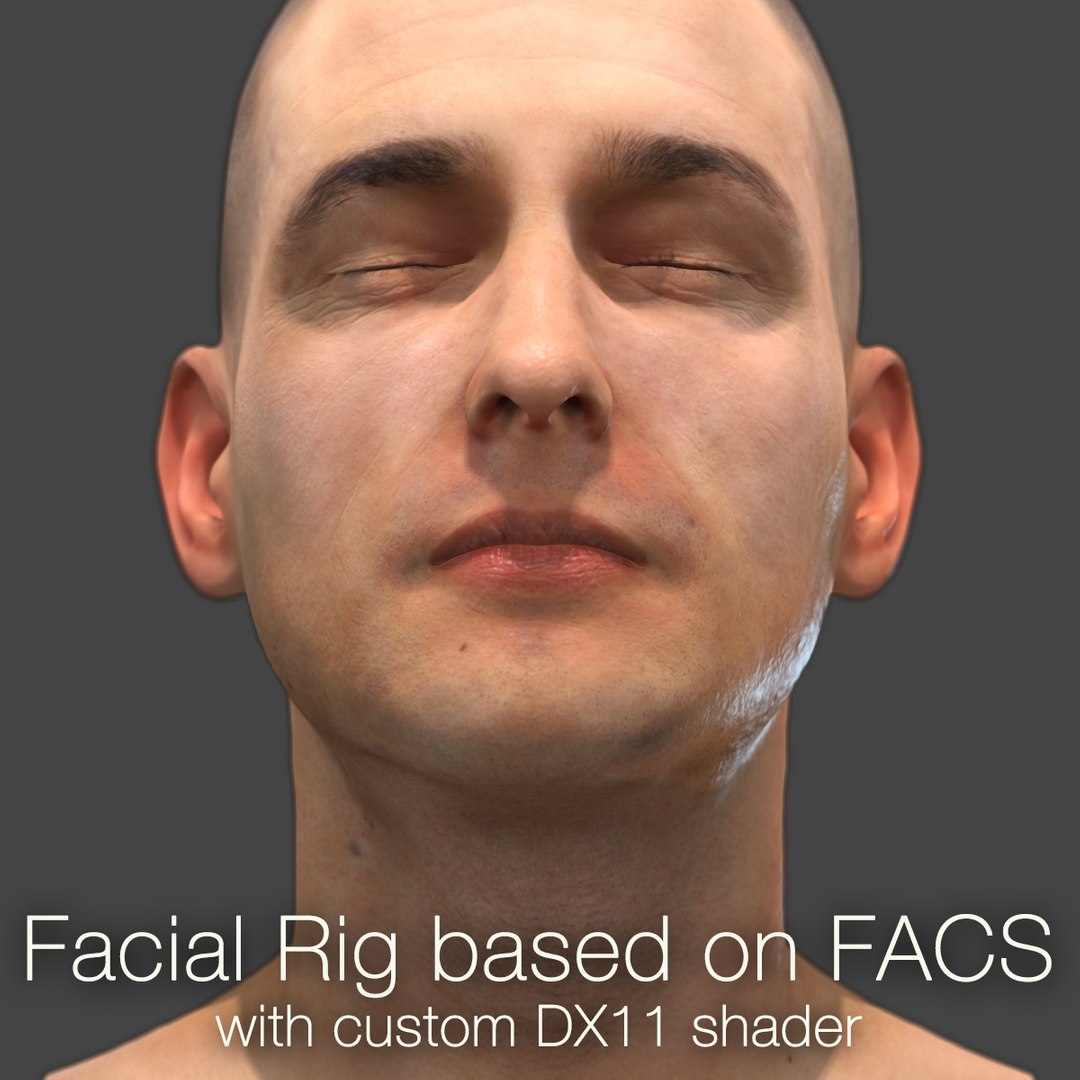 3d Model Of Rig Based Facs
