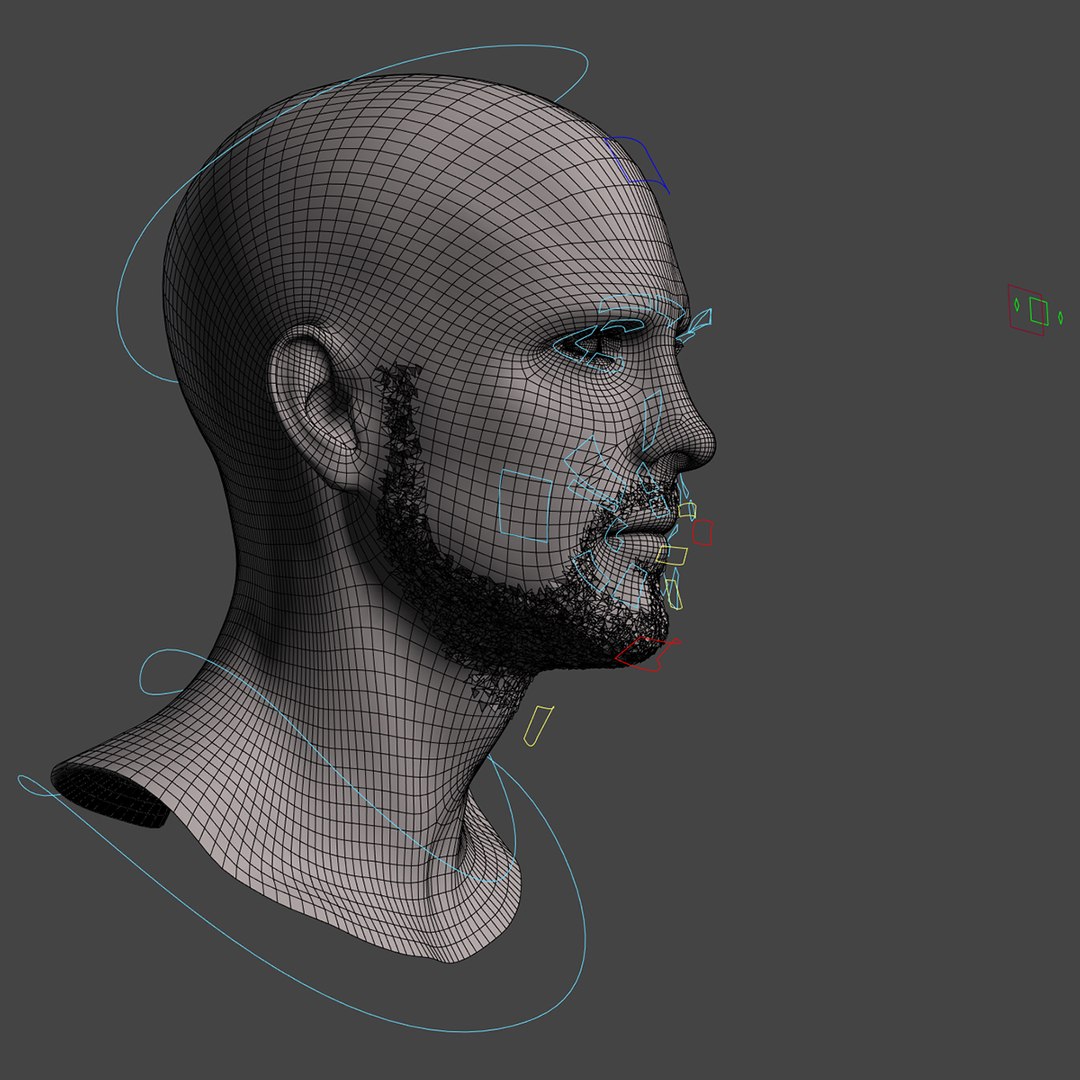 3d Model Of Rig Based Facs