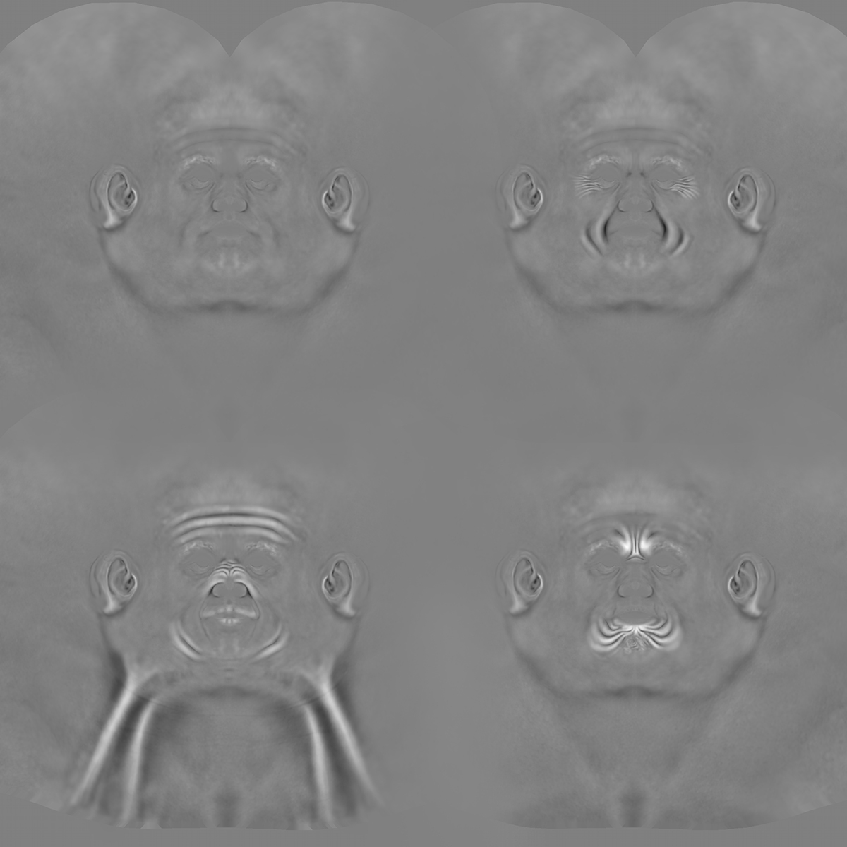 3d model of rig based facs