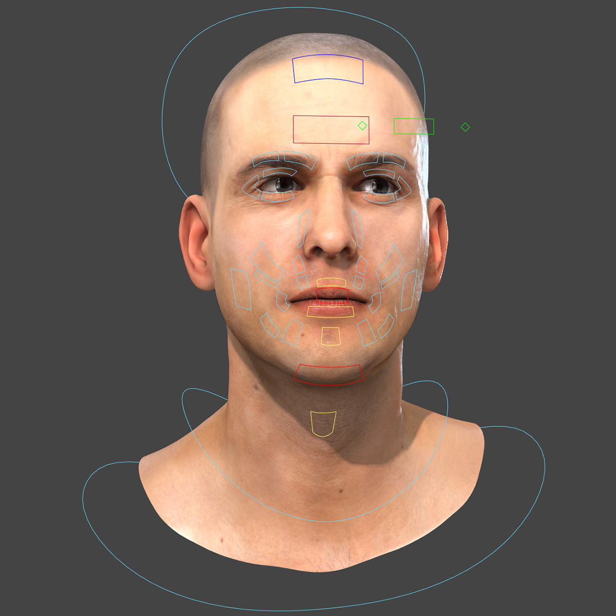 3d model of rig based facs