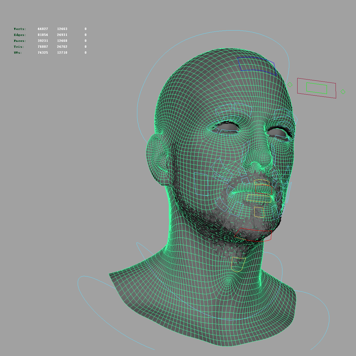3d model of rig based facs