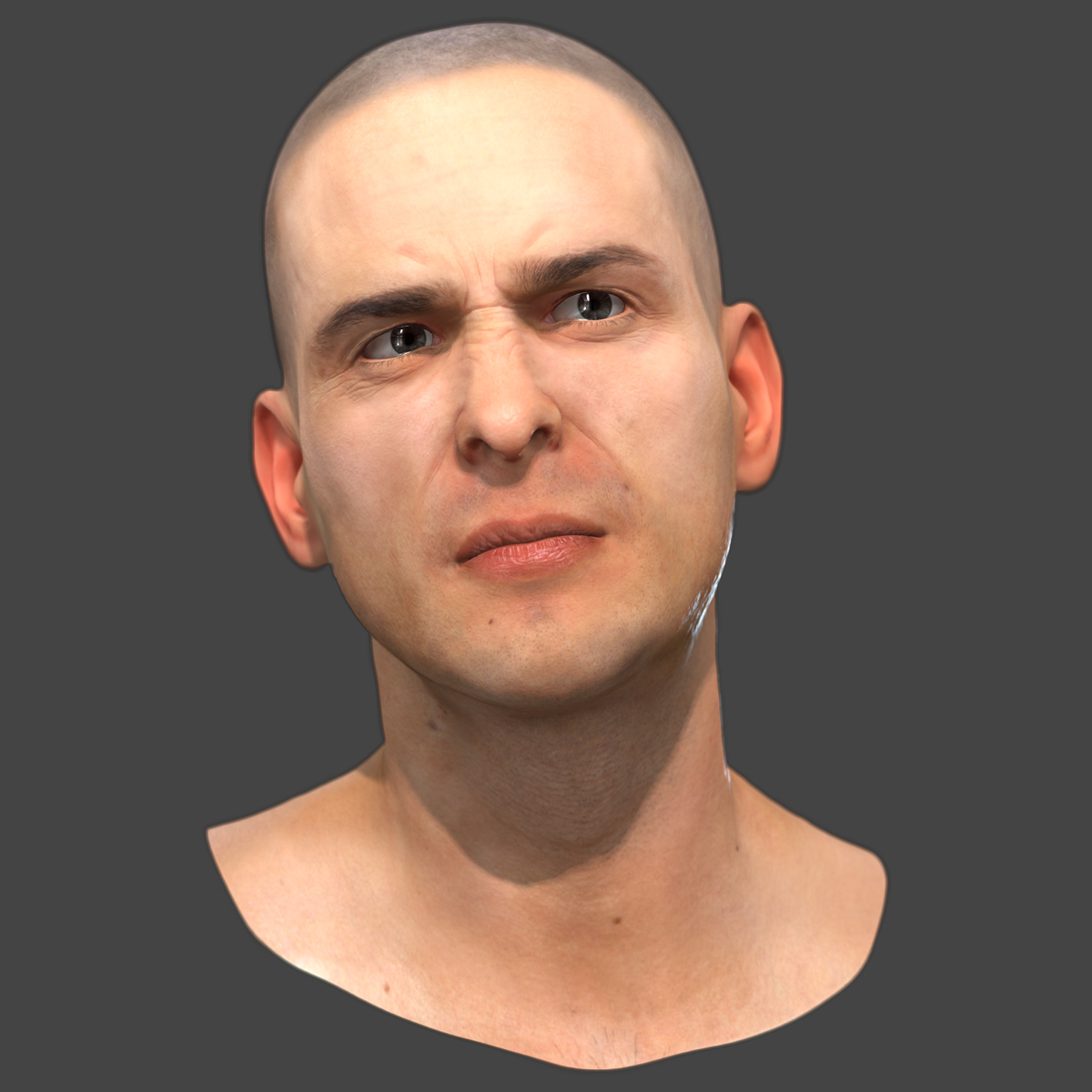 3d model of rig based facs