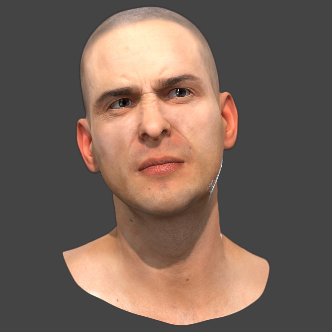 3d Model Of Rig Based Facs