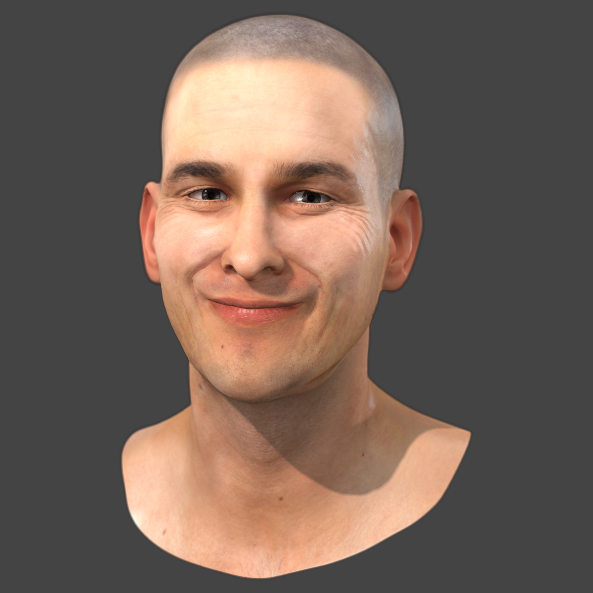 3d model of rig based facs