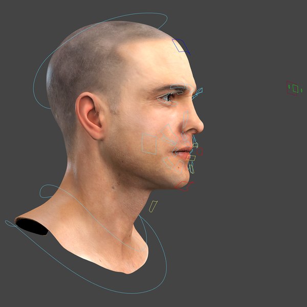 3d model of rig based facs