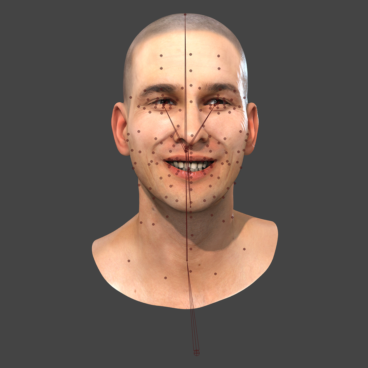 3d model of rig based facs