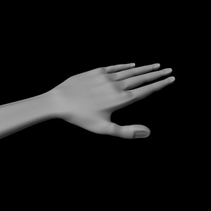 Hand 3D Models for Download | TurboSquid