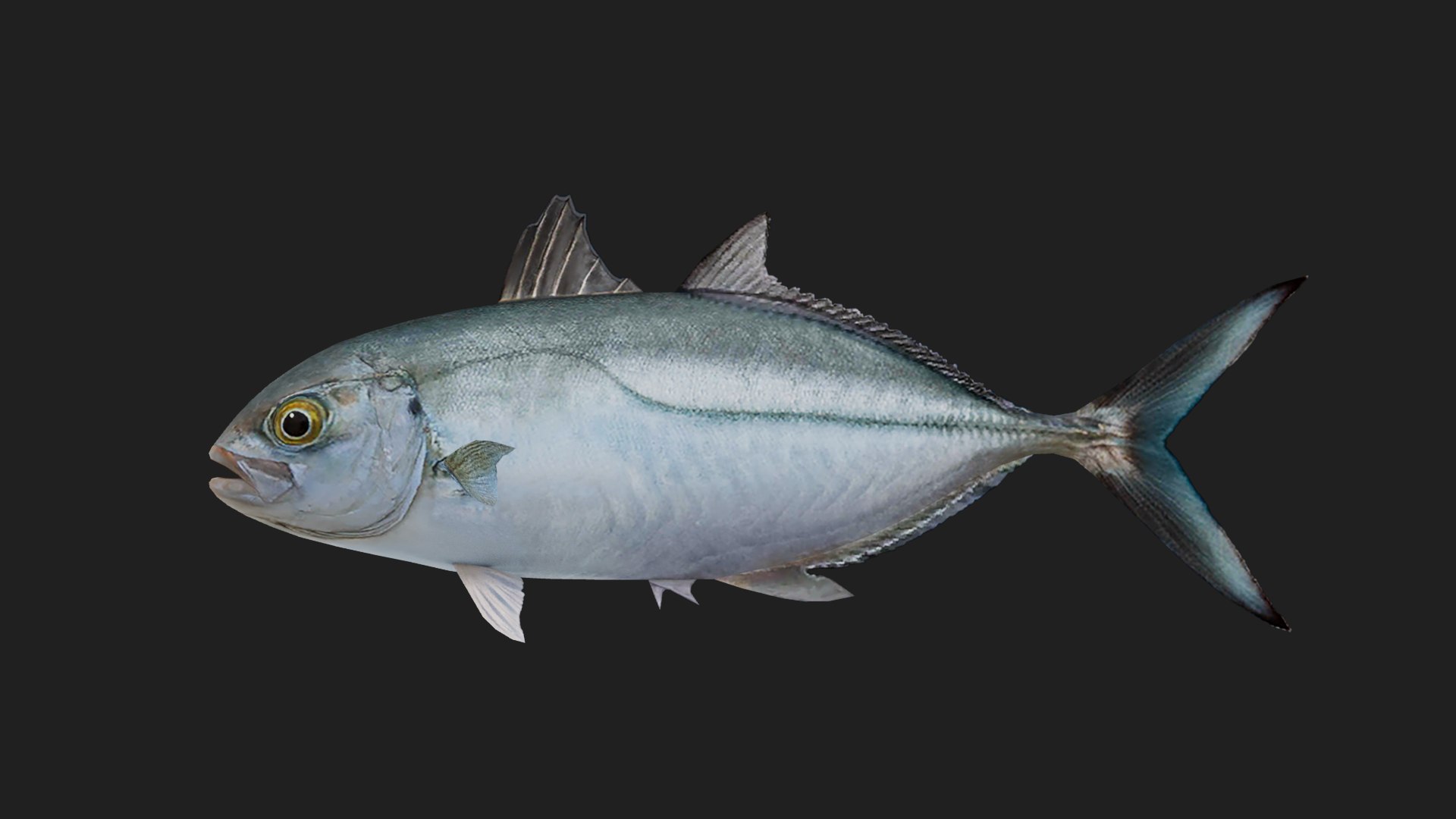 Runner 3D Model - TurboSquid 2119064