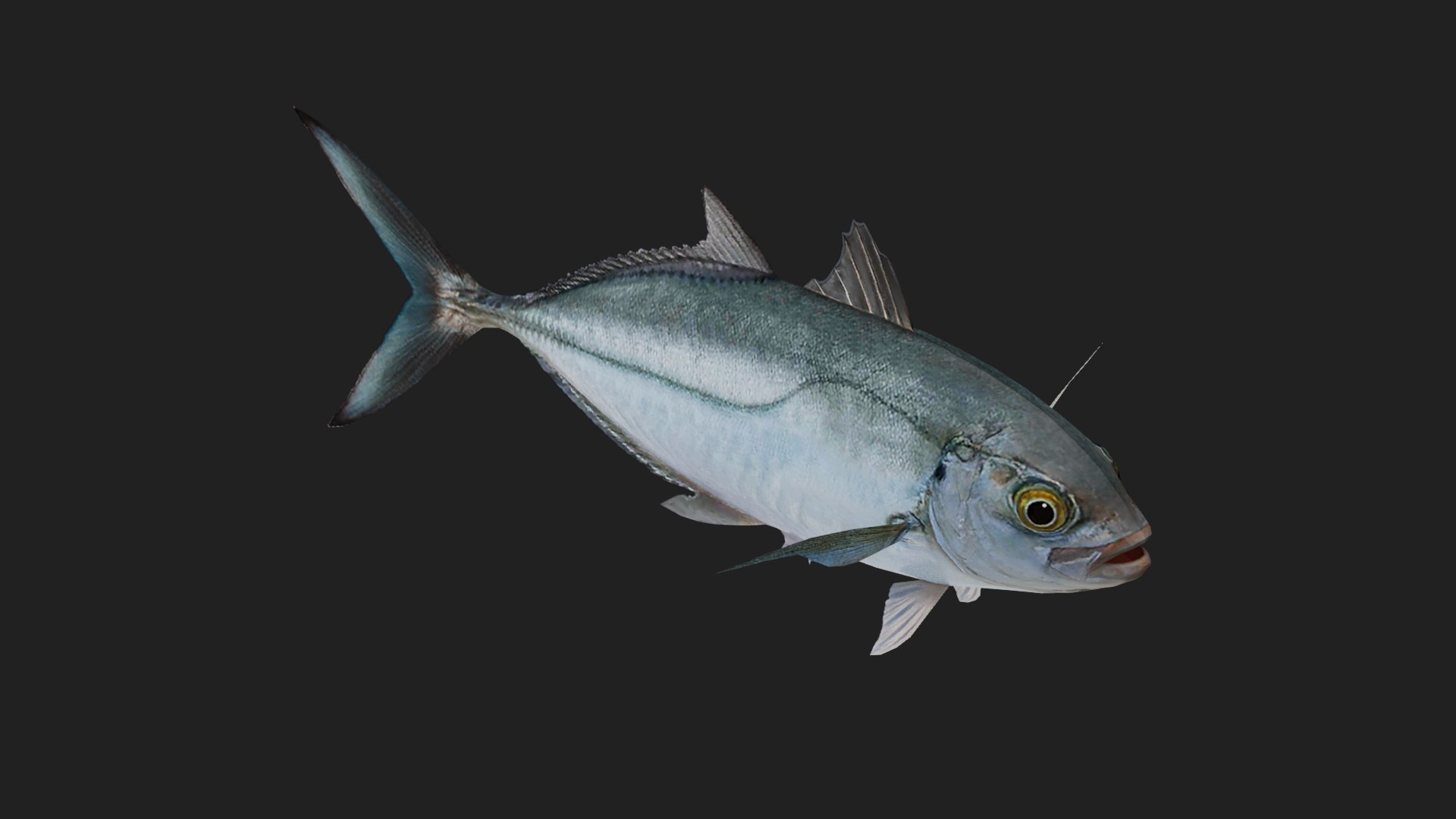 Runner 3D Model - TurboSquid 2119064