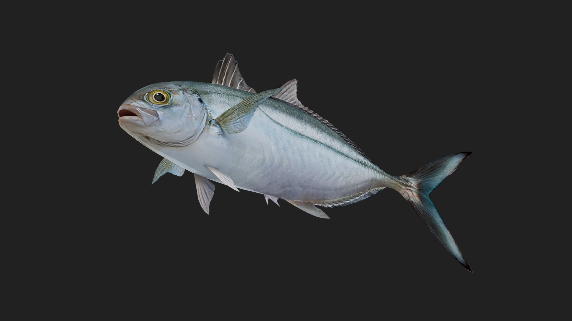 Runner 3D Model - TurboSquid 2119064