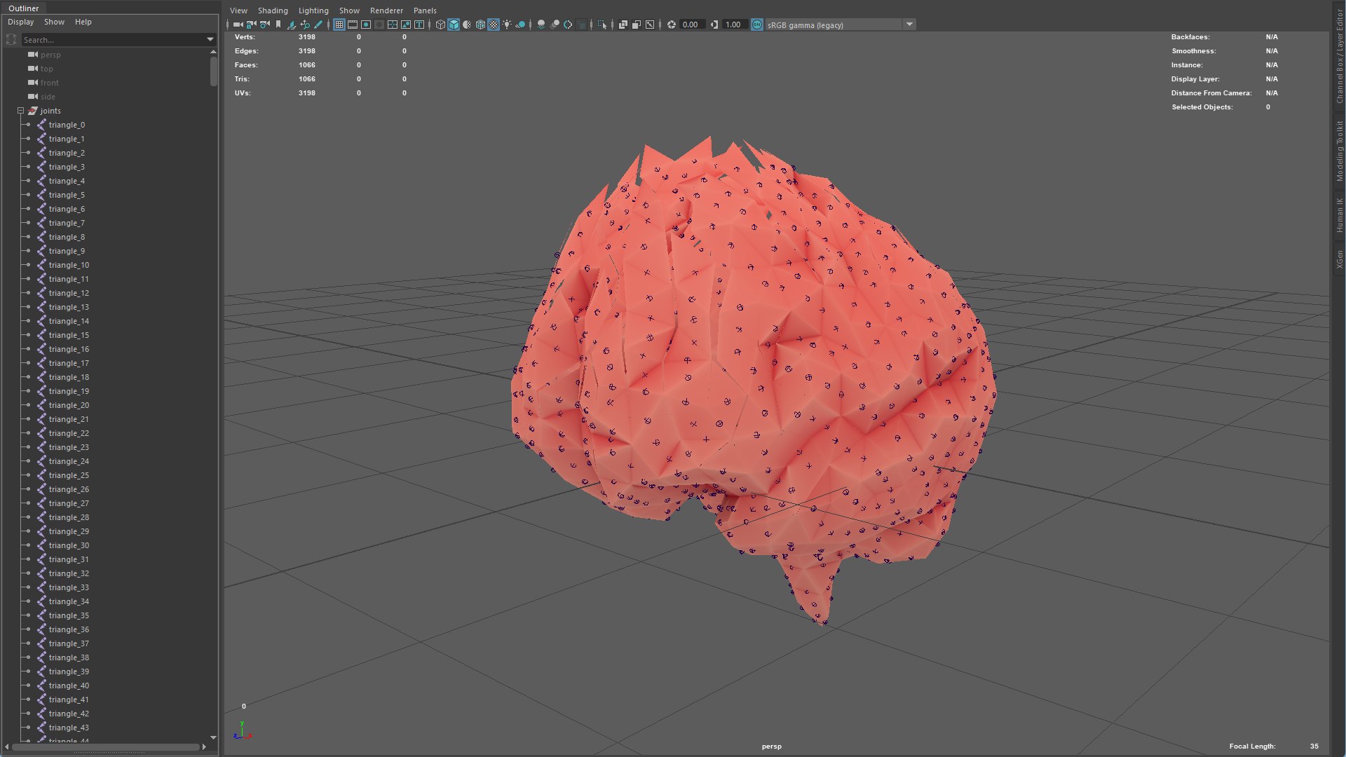 Origami Human Brain Unfolding Growing Animation Model - TurboSquid 2351340