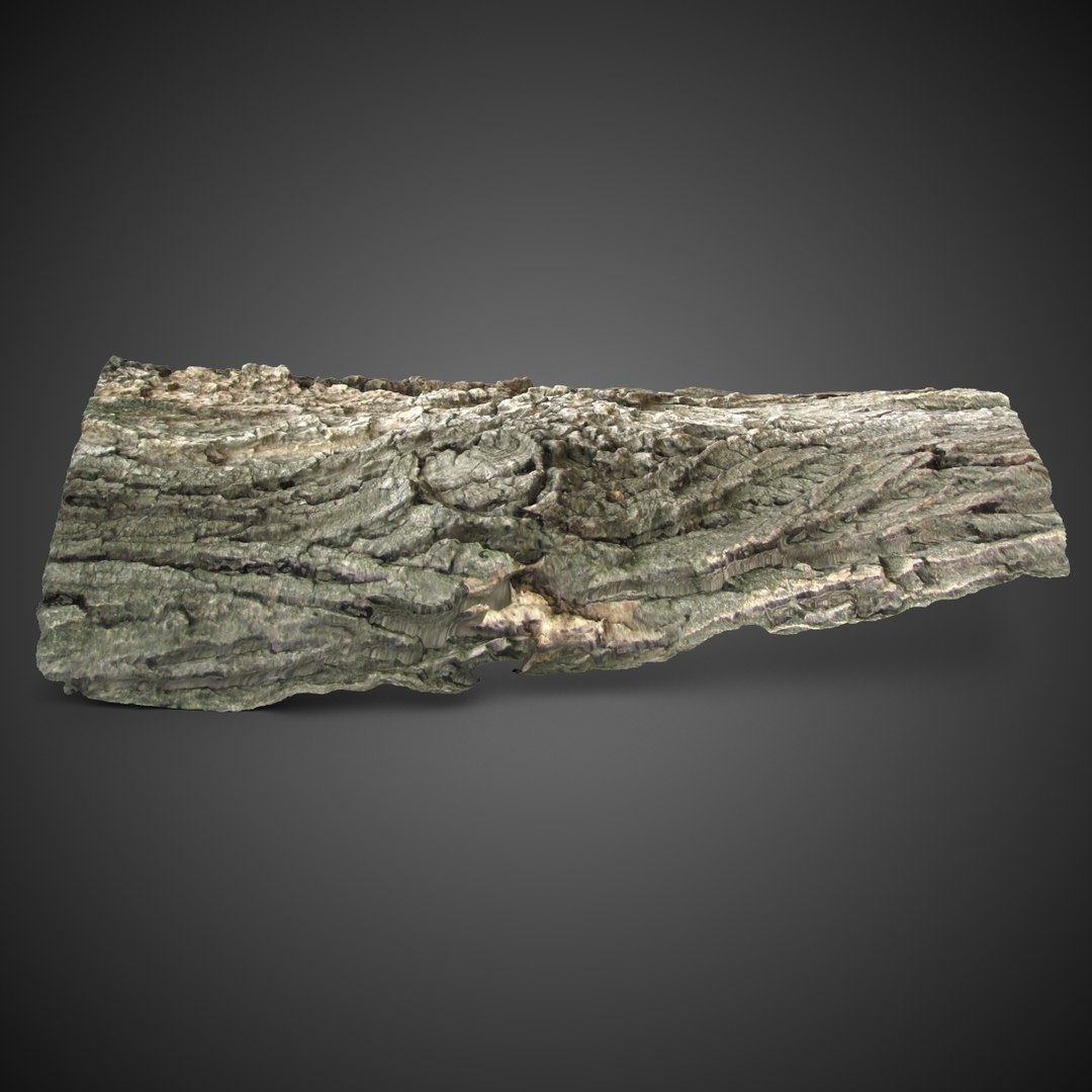3d Model Wooden Bark