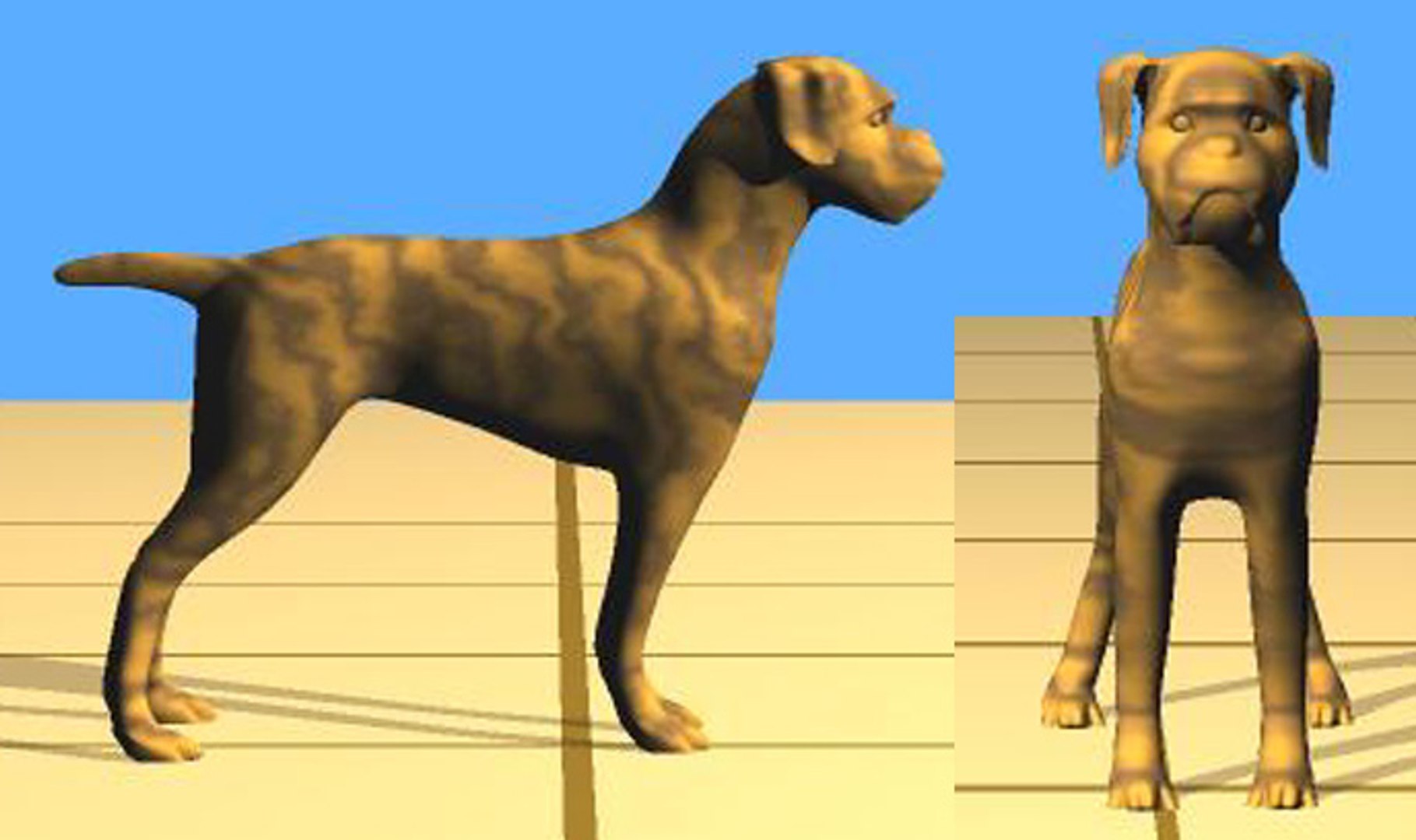 3d Model Of Boxer Dog