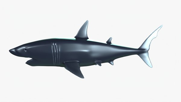 modelo 3d Low poly no texture detailed shark - TurboSquid 2058733