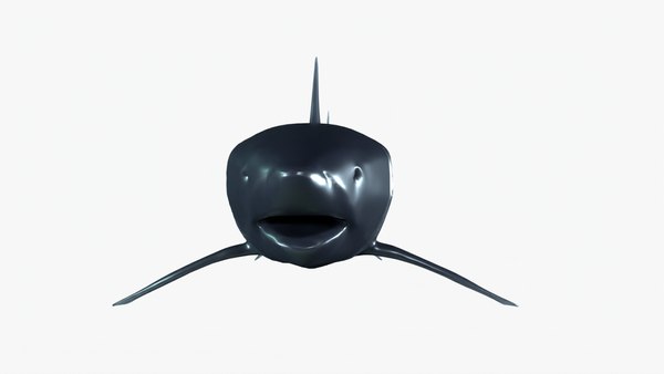 modelo 3d Low poly no texture detailed shark - TurboSquid 2058733
