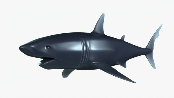 modelo 3d Low poly no texture detailed shark - TurboSquid 2058733
