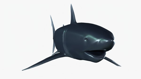 modelo 3d Low poly no texture detailed shark - TurboSquid 2058733