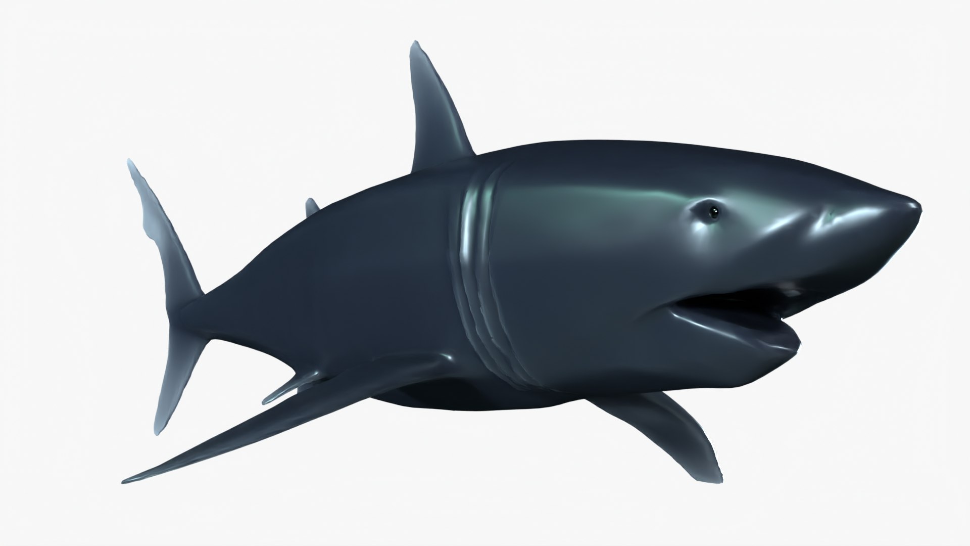 modelo 3d Low poly no texture detailed shark - TurboSquid 2058733