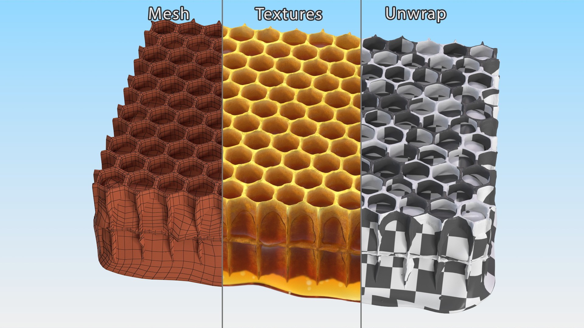 Raw Honeycomb 3D model - TurboSquid 2063028