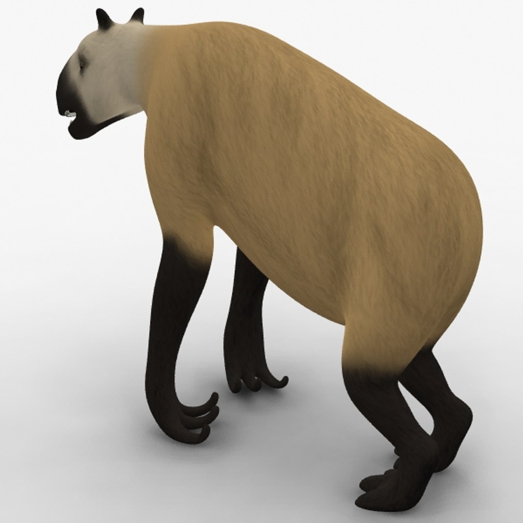 Chalicotherium Animals 3d Ma
