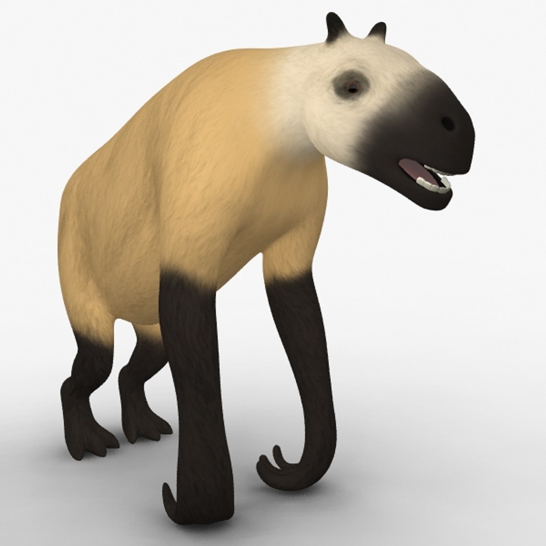 Chalicotherium Animals 3d Ma