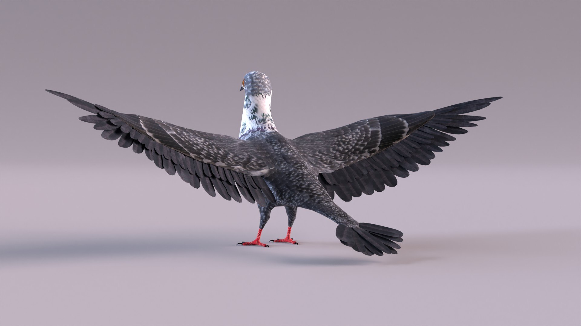 3D Model Pigeon - TurboSquid 1880162