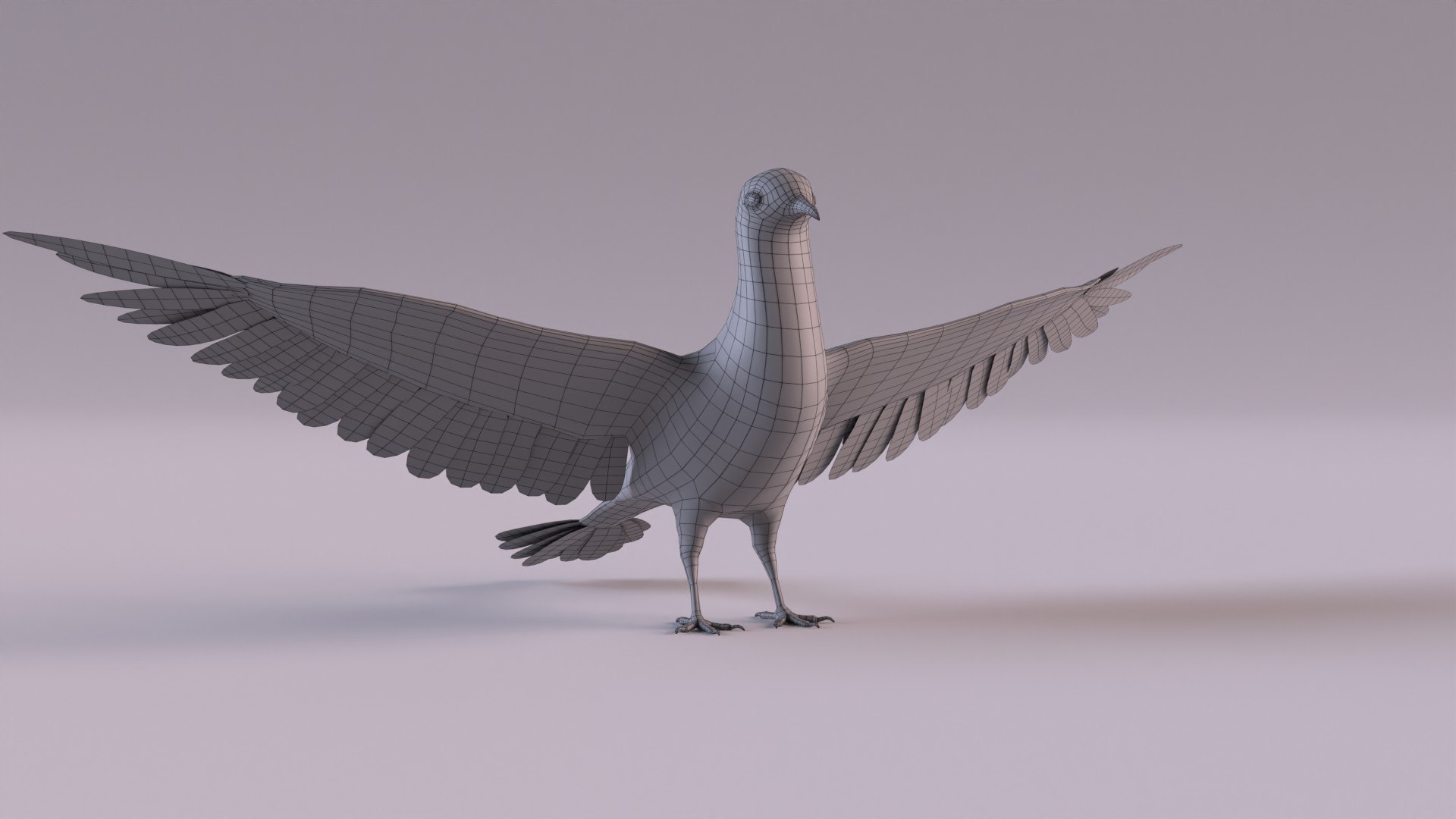 3D Model Pigeon - TurboSquid 1880162
