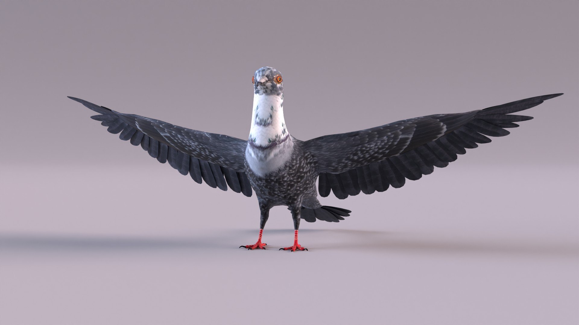 3D Model Pigeon - TurboSquid 1880162