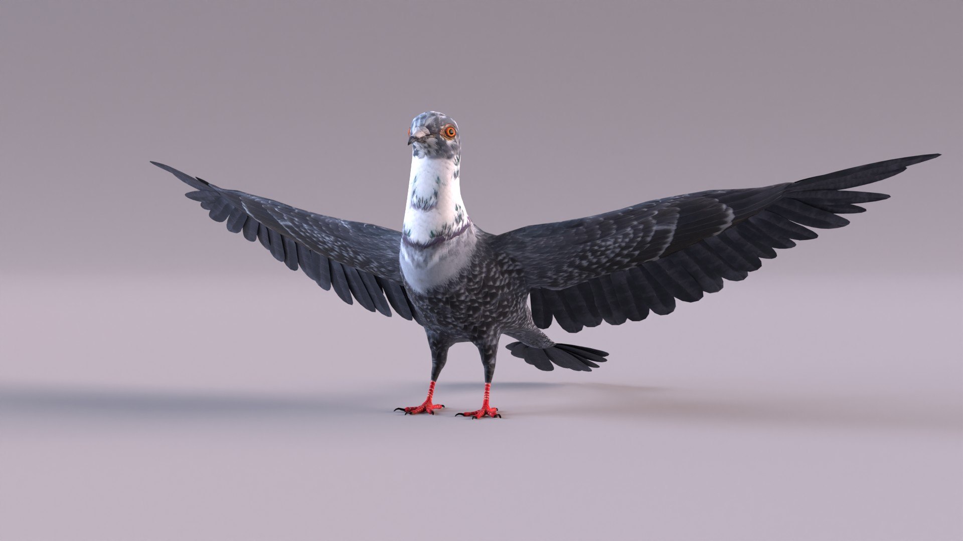 3D Model Pigeon - TurboSquid 1880162