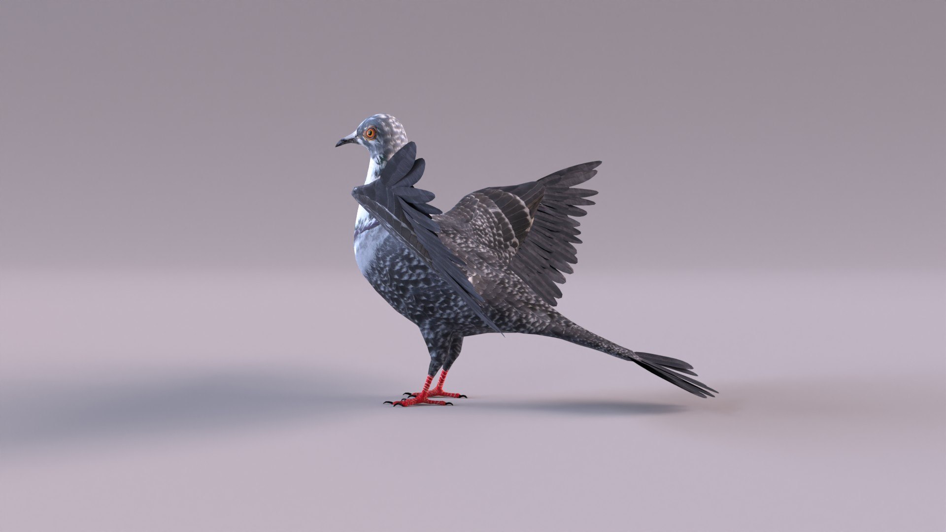 3D Model Pigeon - TurboSquid 1880162