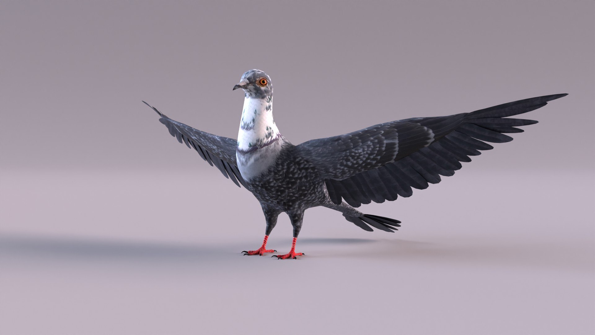 3D Model Pigeon - TurboSquid 1880162