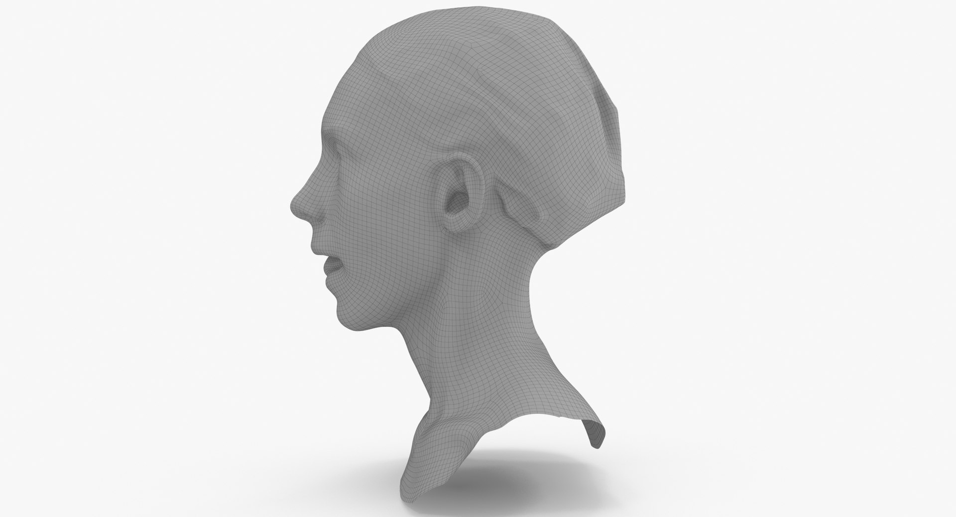 Athena Human Head Tongue 3D - TurboSquid 1667271
