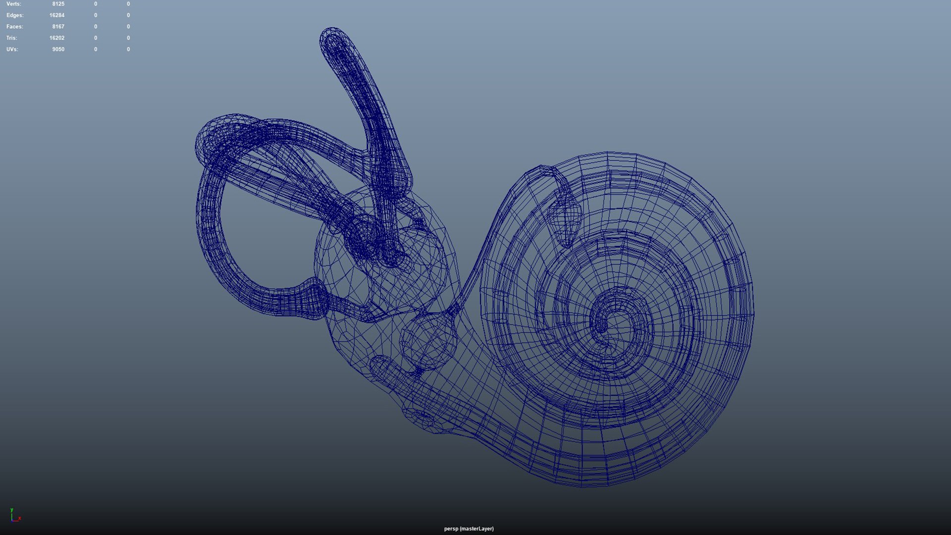 Ear Cochlea Labyrinth Model - TurboSquid 2191611
